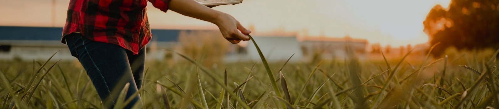 Community Operations Framework | Electricity Generating